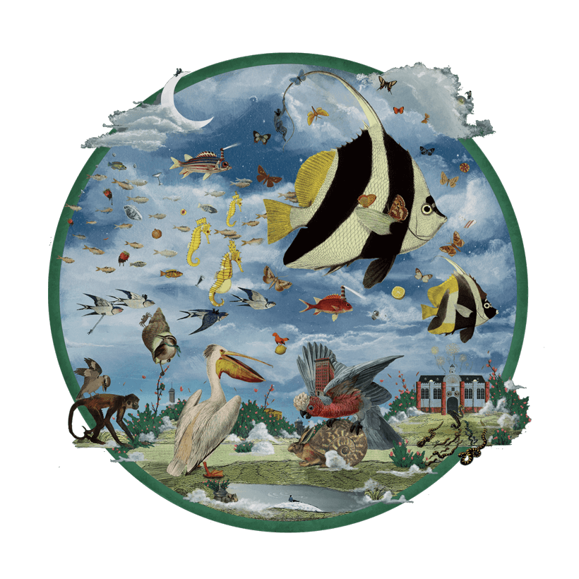 Plini - Official Website & Merch Store